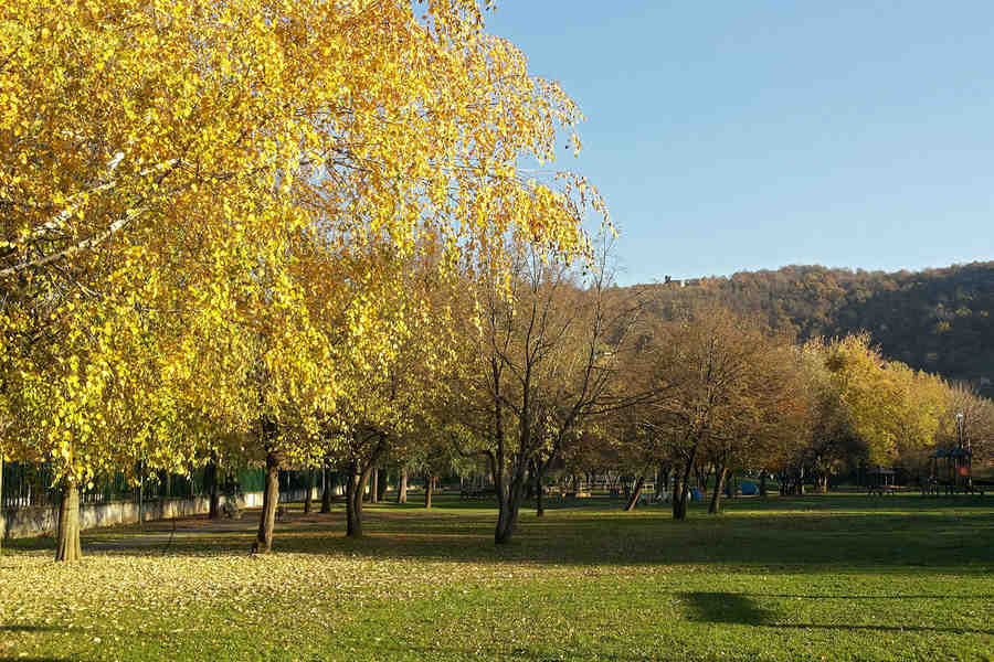 Parco Carrara Parco / Giardino / Area all'aperto